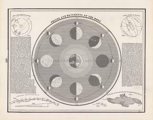 Phases and Movements of the Moon - Art Source International