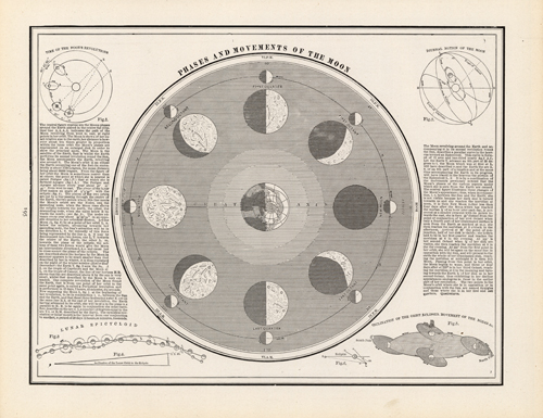 Phases and Movements of the Moon - Art Source International