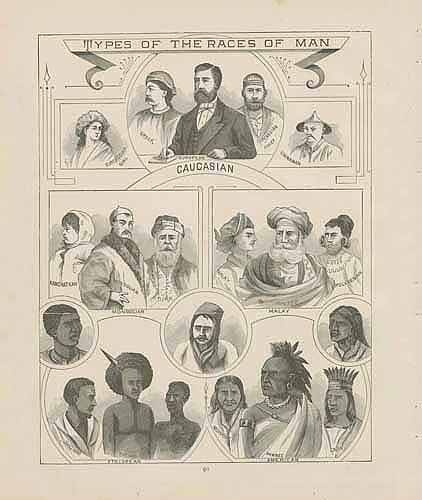 Types of the Races of Man - Art Source International