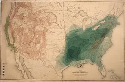 Map Showing the Natural Distribution of the Genera Carya and ...