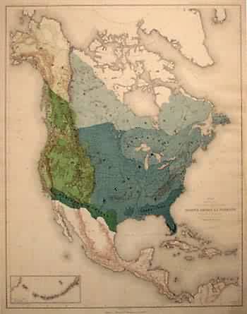 Map Showing the Natural Divisions of the North American Forests - Art ...