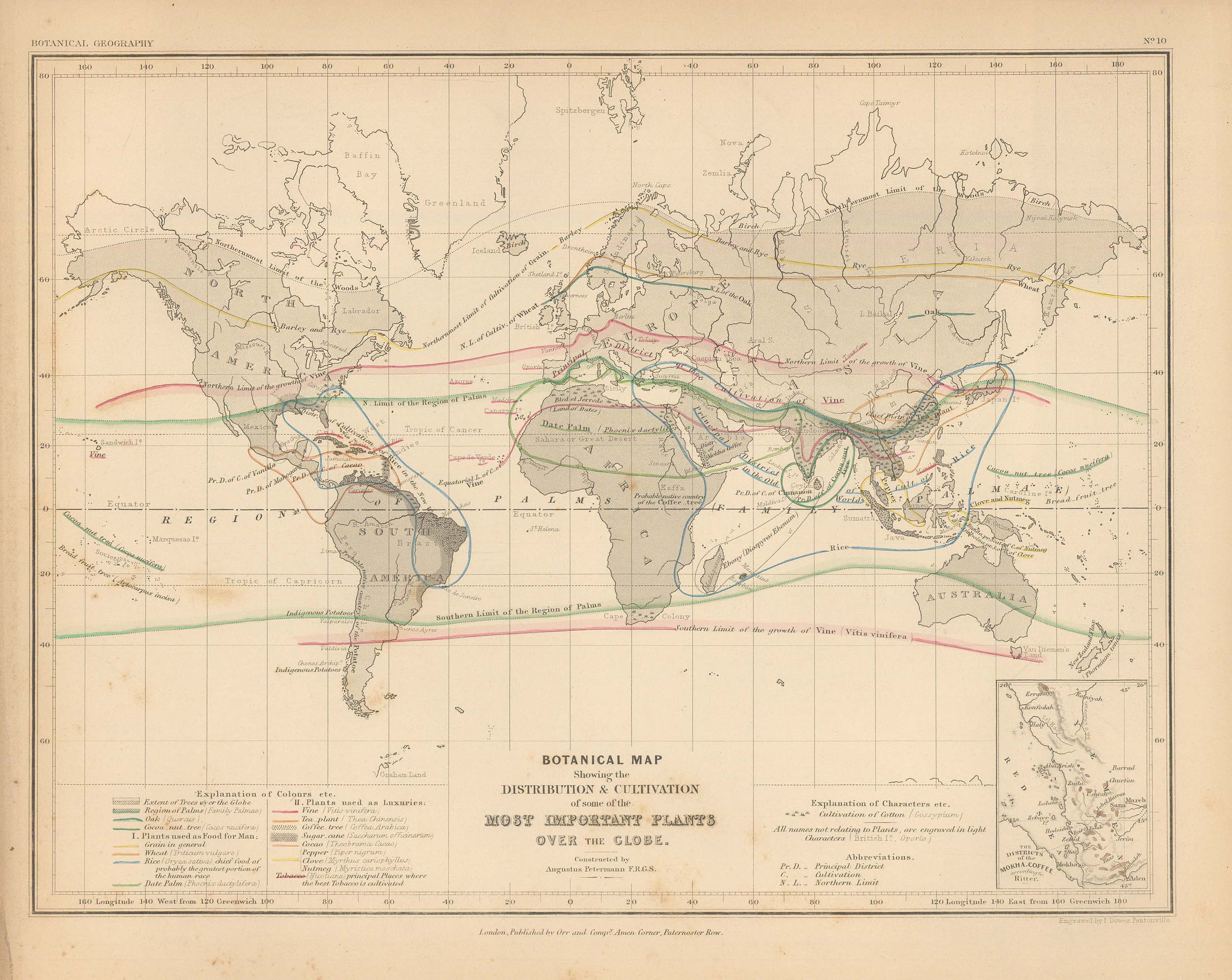 Milner's 1850 Botanical Map showing the Distribution and Cultivation of ...